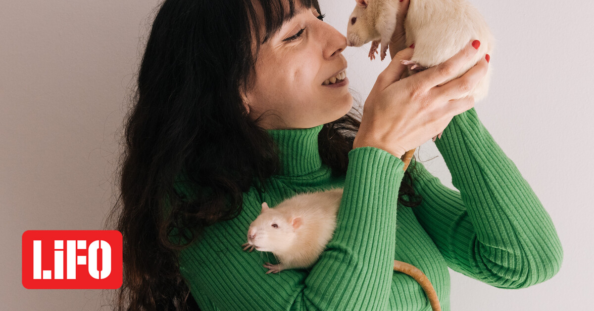 Η Ελπίδα ζει σε ένα διαμέρισμα στην Κυψέλη με δύο κατοικίδιους αρουραίους | LiFO